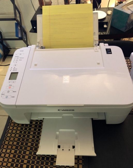 Canon Pixma TS3120 Review [All-in-One Printer] | 2025
